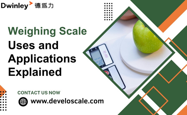 Weighing Scale Uses and Applications Explained | Develoscale